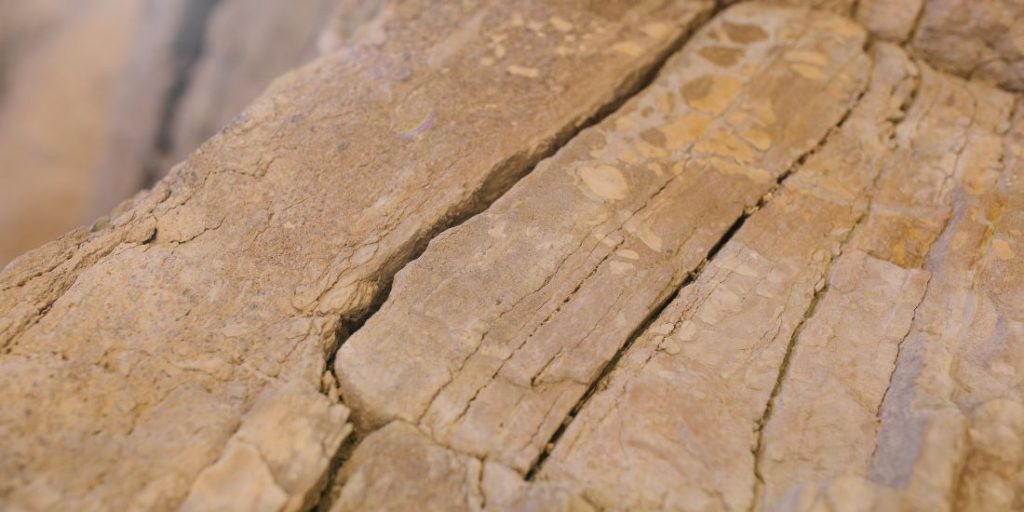 An In-Depth Guide To Exposed Aggregate Pavers - Bonita Stone